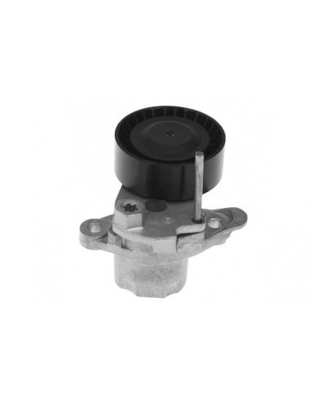 Poulie-tendeur, courroie trapézoïdale à nervures MGA Ref : GA4342